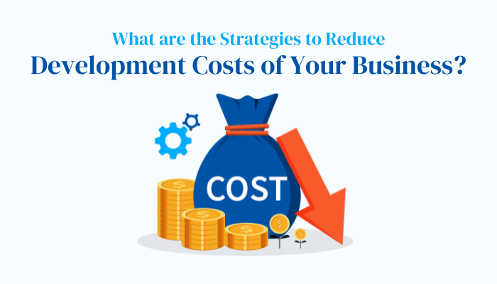 What are the Strategies to Reduce Development Costs of Your Business ...