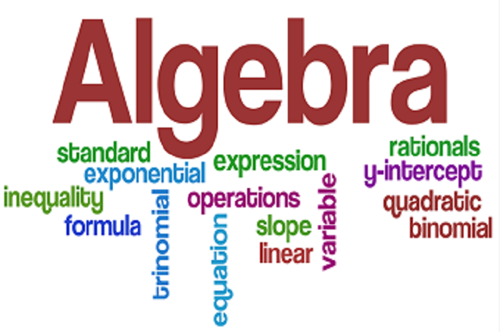 Algebra Assignment Help: Navigating the Complex World of Mathematical Assignments | by I am ...