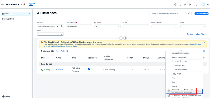 How to Create a SAP HANA Database Instance in SAP BTP | by İlker Tekin ...
