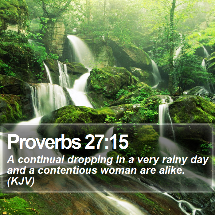 Proverbs 27:15. A continual dropping in a very rainy… | by Bible SMS ...
