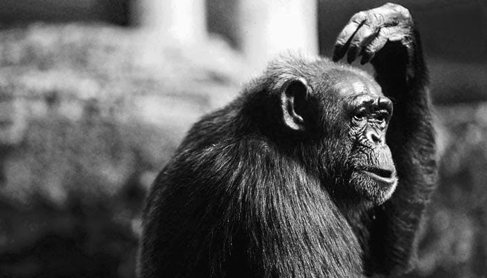 You Changed Jobs Again?. I started a new job at the first of the… | by ...