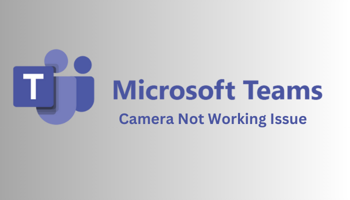 Microsoft Teams Camera Not Working Issue: Solved | by Mansi | Medium