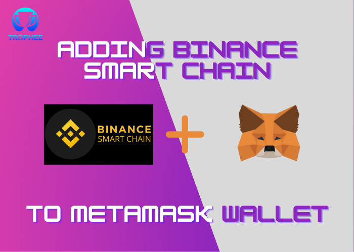 How to add Binance Smart Chain (BSC) to Metamask Wallet | by Cha ...