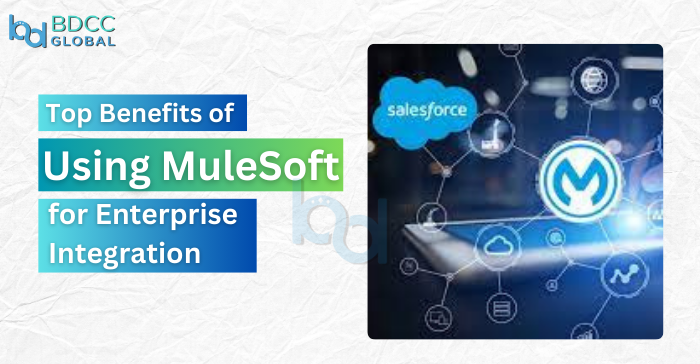 Top Benefits of Using MuleSoft for Enterprise Integration | by ...