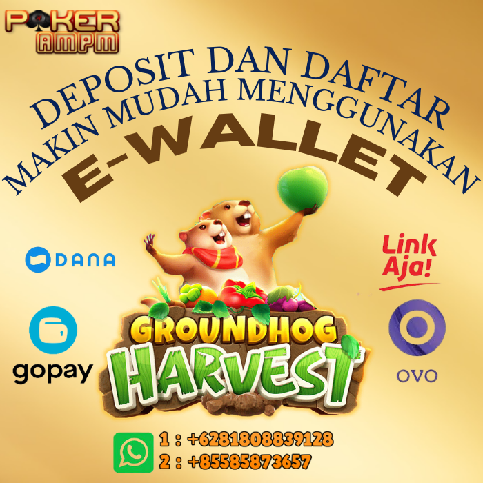 PokerAMPM IDNLIVE 10RIBU | DEPOSIT BCA 10RB | by Yudiyudha | Medium