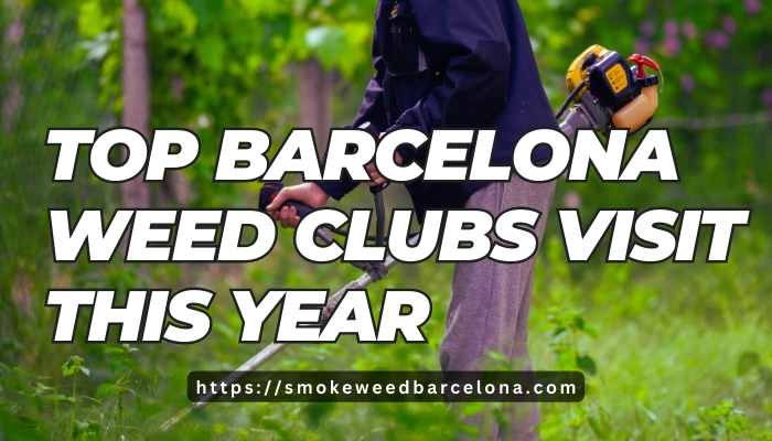 Top Barcelona Weed Clubs to Visit This Year | by Smoke Weed Barcelona ...