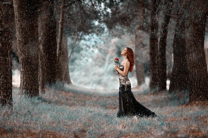 April 23 Birthday Taurus Personality (All You Need to know) | by Zodiac ...