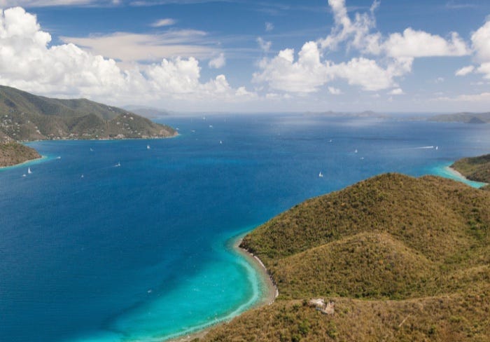 WHAT IS BLUE CARBON AND WHY IS IT IMPORTANT? | by Giles Cadman | Medium