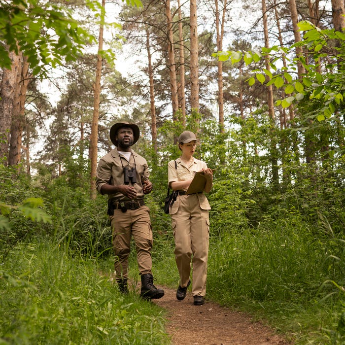 How to Safely Navigate Remote Wilderness Areas | by Anjali Thakur | Medium