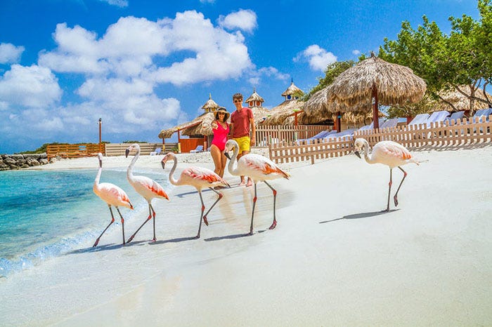 4 Unforgettable Experiences in Aruba: Sun and Adventure | by Fun World ...