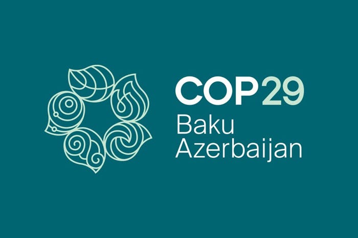 COP29 Breakthrough: Article 6 Adoption Paves Way for Global Carbon ...