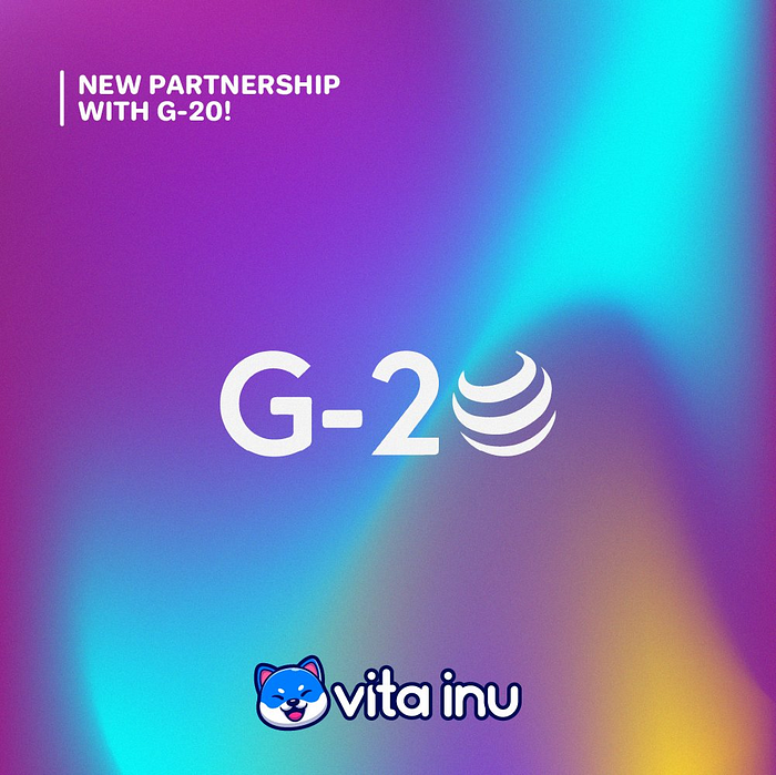 Actualización del proyecto de FEBRERO/2023 - Vita Inu (VINU)