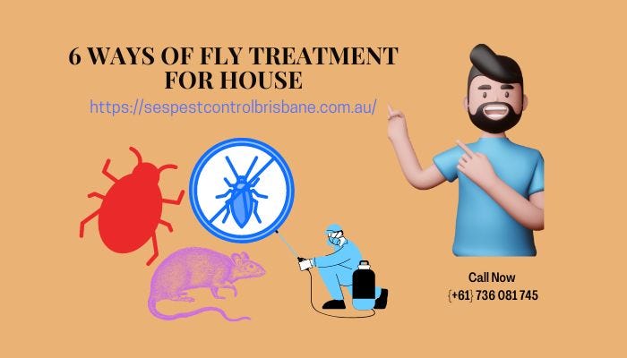 How to Get Rid of Indoor Flies?. 6 Ways of Fly Treatment for House | by ...