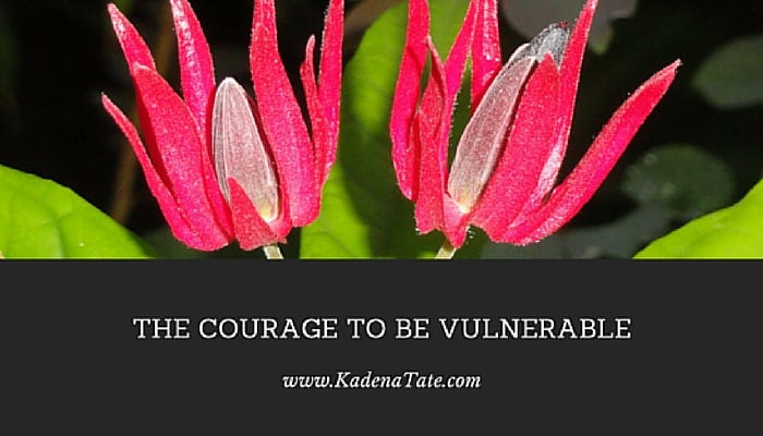 The Courage to Be Vulnerable. Being vulnerable is a risky thing… | by ...