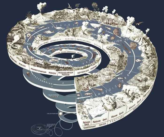 Our False Empire. Humankind is an arrogant race. We’re a… | by Mark Botha | Medium