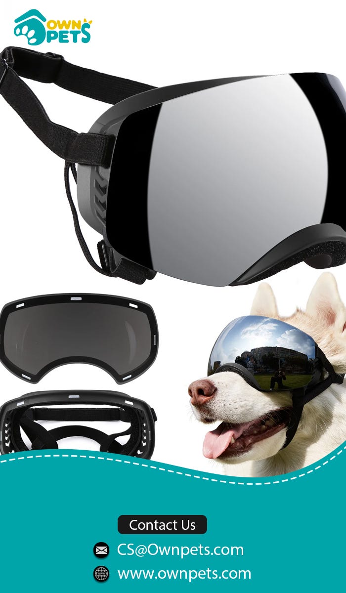 Protect Your Pup’s Eyes in Style with Dog Eye Goggles - Ownpets - Medium