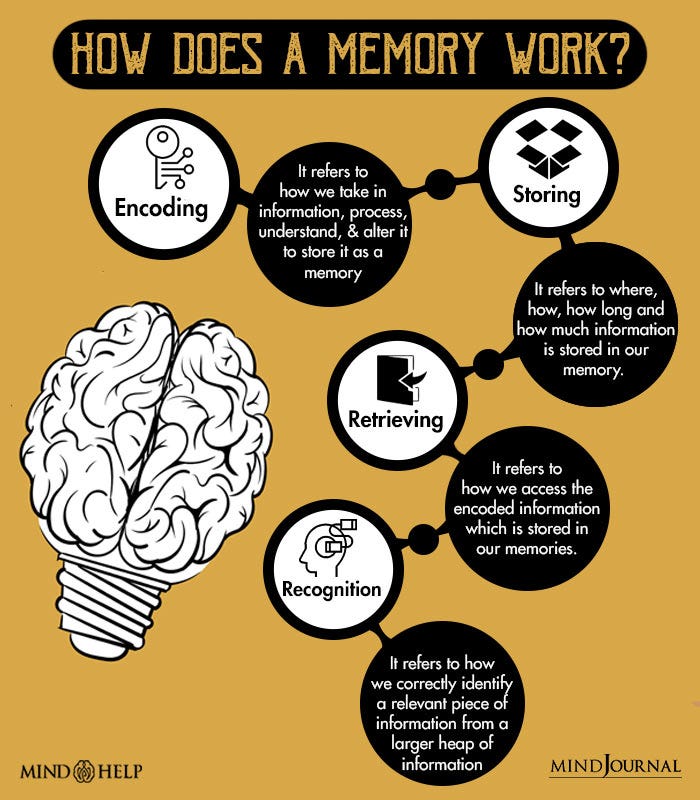 Memory. Memory, a vital function of the human… | by Mind Help | Feb ...