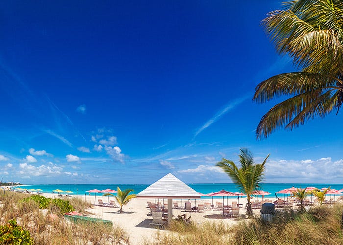 2018 Recap –Best Beach Destination | by Robert Scherzer | Medium
