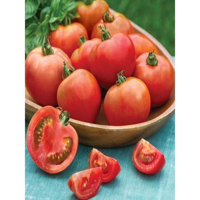 Europe Tomato Seed : Complete Guide to Growing Top Tomatoes | by Prachi ...