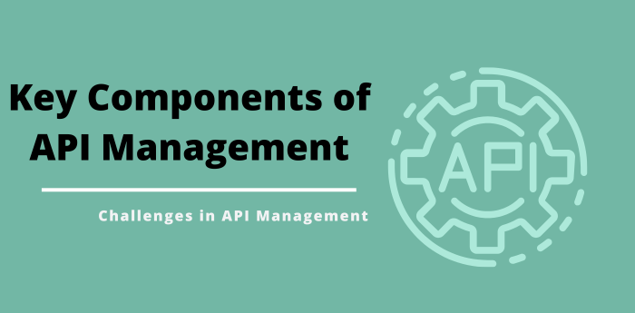 API Management: A Comprehensive Guide | by marketresearch | Nov, 2024 ...