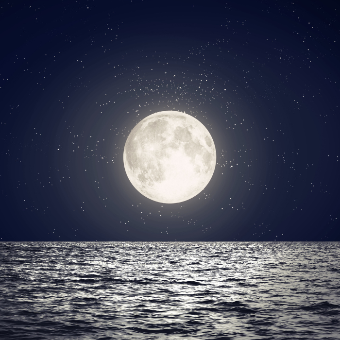 Dreams: Finding Cosmos in Chaos. Dreams are silly. Why care about a ...