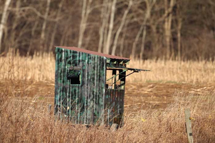 How to Build a Hunting Blind And Save Hundreds of Bucks | by Archer ...
