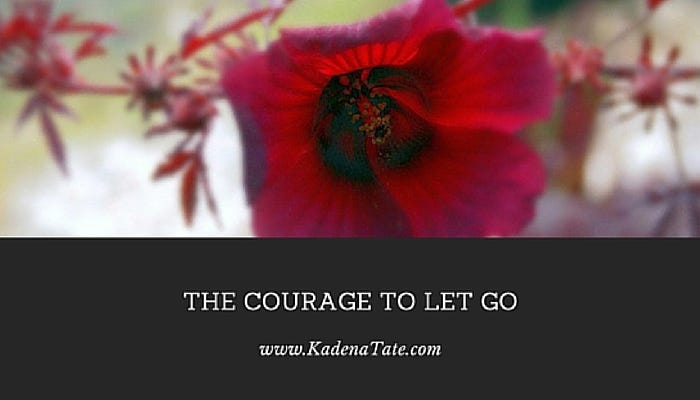 The Courage to Let Go. Life is a series of trapeze bars. You… | by ...