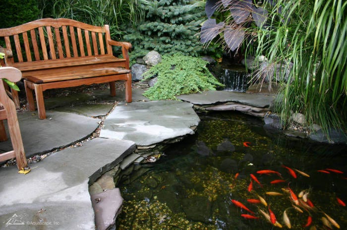Enhancing Your Home’s Curb Appeal with a Beautifully Designed Koi Pond ...