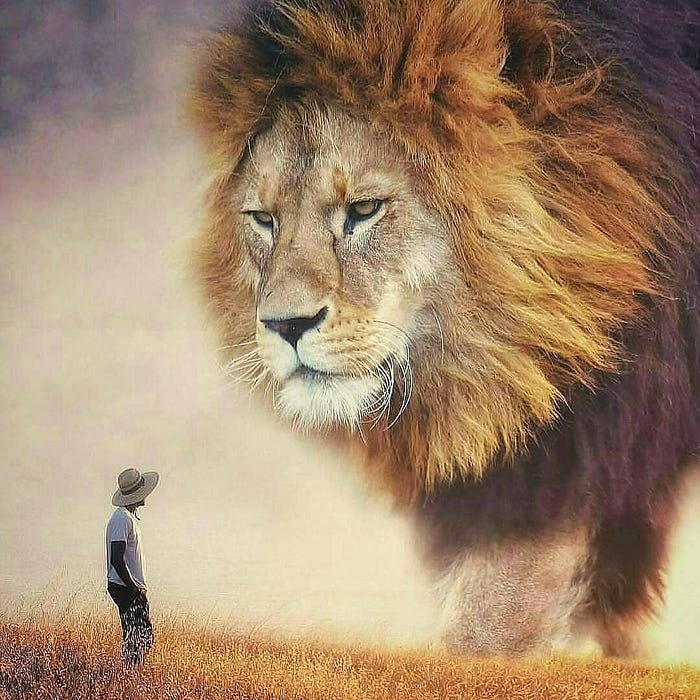 Душевный комфорт— основа выбора — Teletype