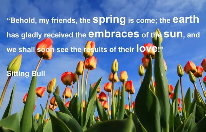 124+ Famous Quotes About Spring You Must Read This Season | by ...