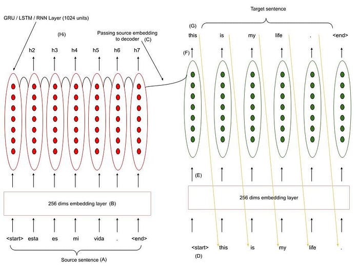 Machine translation in python (with code and explanation) | by Amay ...