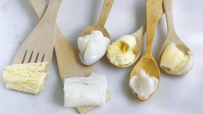 Shortenings Food Science Basics: Healthy Cooking and Baking Demystified ...