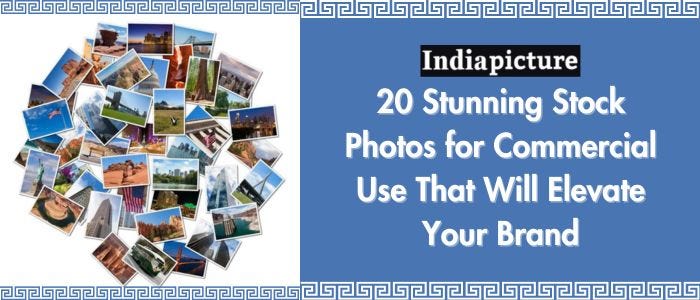 20 Stunning Stock Photos for Commercial Use That Will Elevate Your ...