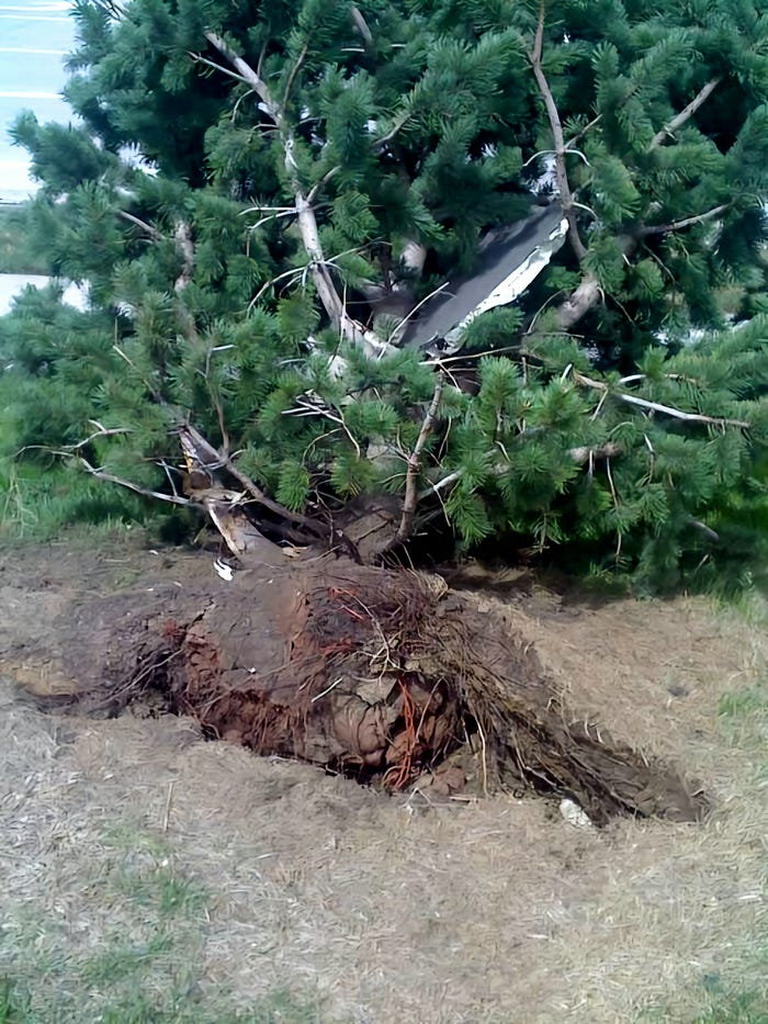 Navigating Life After Witnessing a Devastating Natural Disaster | by ...