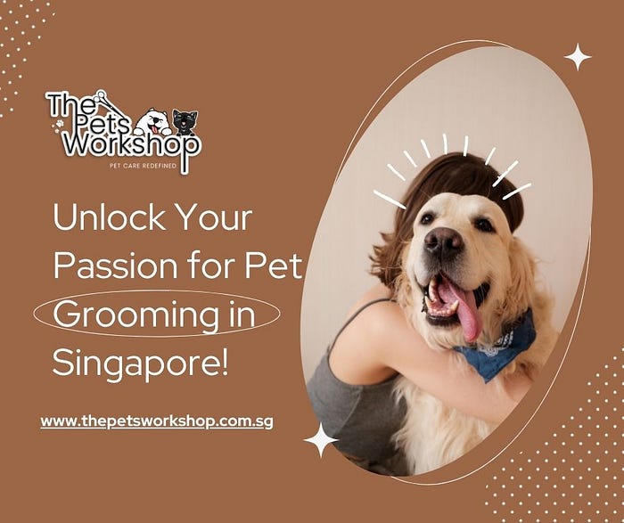 New level of pawsitively perfect pampering — The Pets Workshop