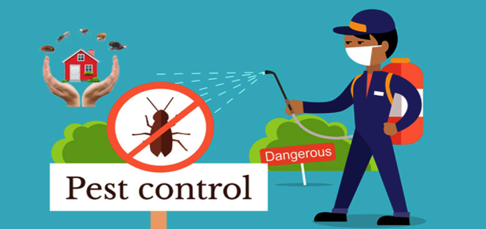 Top Reasons Why You Need Regular Pest Control | by Pest Control Pros ...