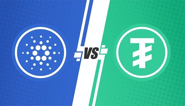 Step-by-Step Guide to Claiming Free Reef.finance $REEF Airdrop Tokens ...
