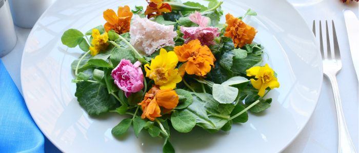 8 Edible Blooms to Make Brunch More Beautiful and Nutritious | by ...