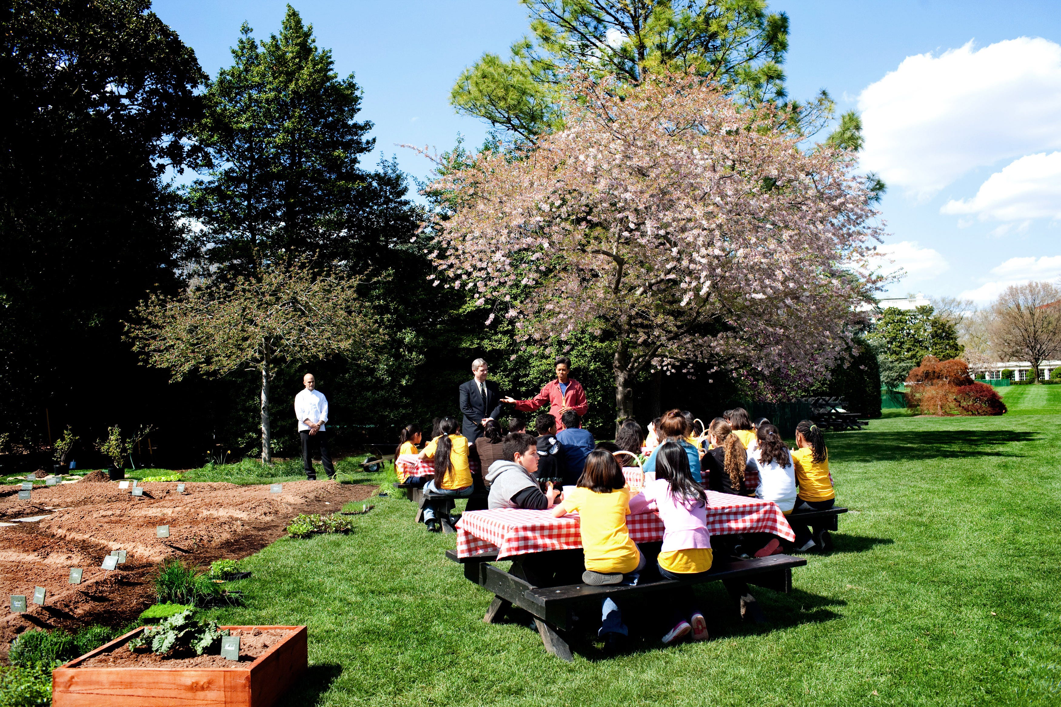 White House Kitchen Garden