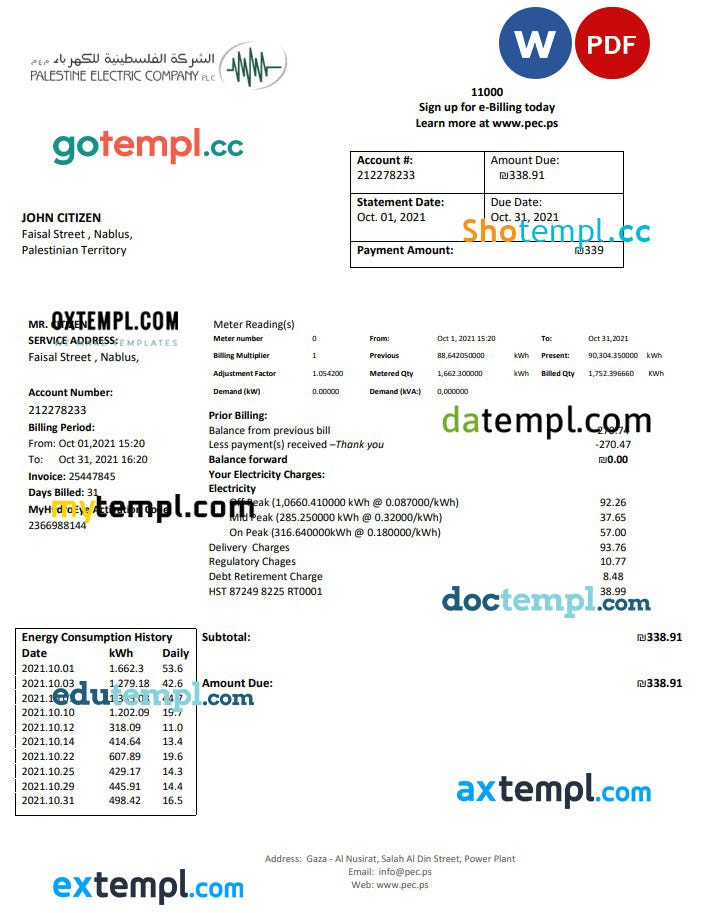 Palestine Electric Company (PEC) utility bill template in Word and PDF ...
