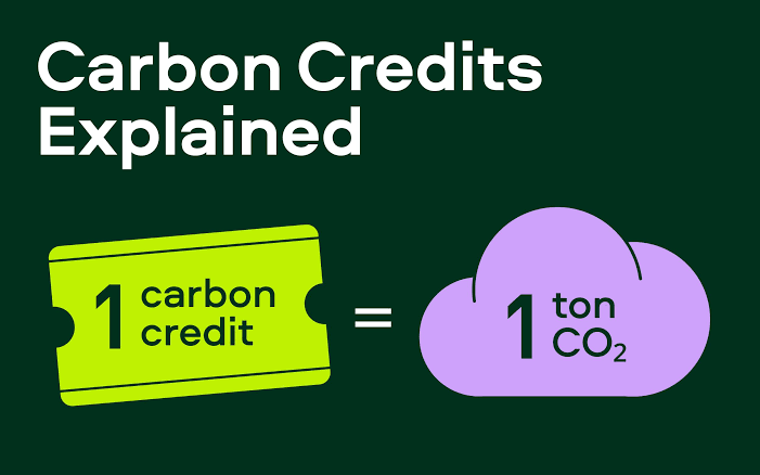 Carbon Credit Management: Harnessing Blockchain for Effective Oversight ...