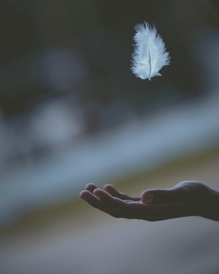 insignificant. a poem | by Connie Song | The Cotton Thread | Medium