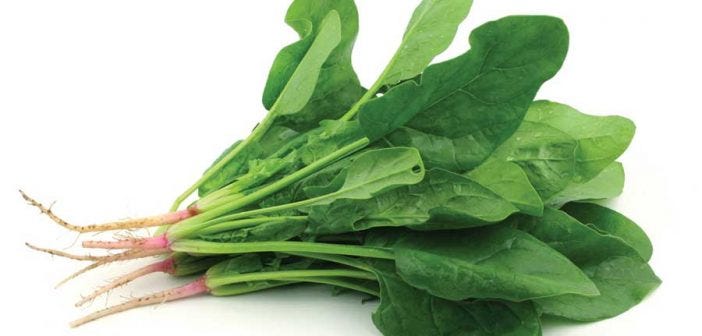 How to Make Potent Use of vegetables for Hair Loss? | by healthy ...