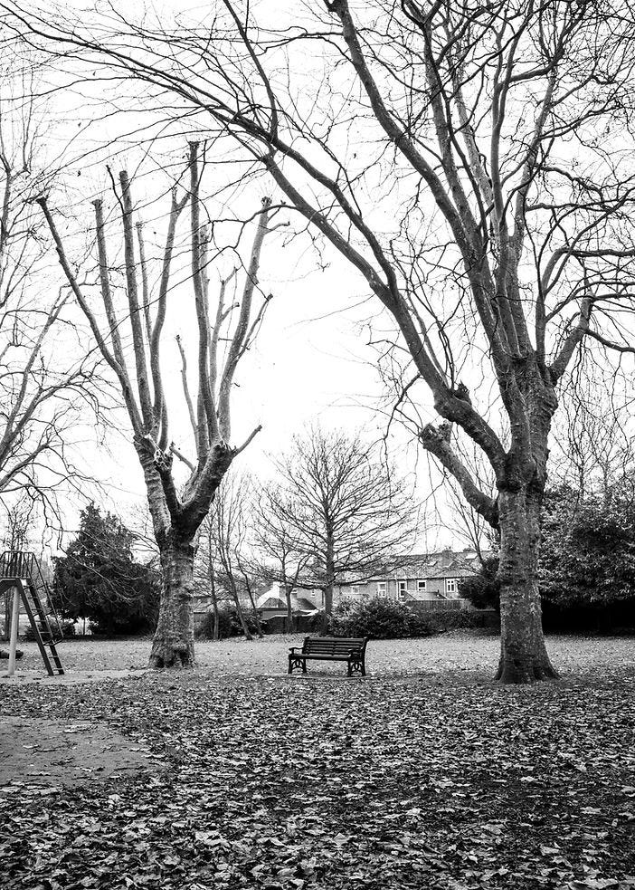 Therapeutic Photography Tips. Mental health disorders are disorders ...