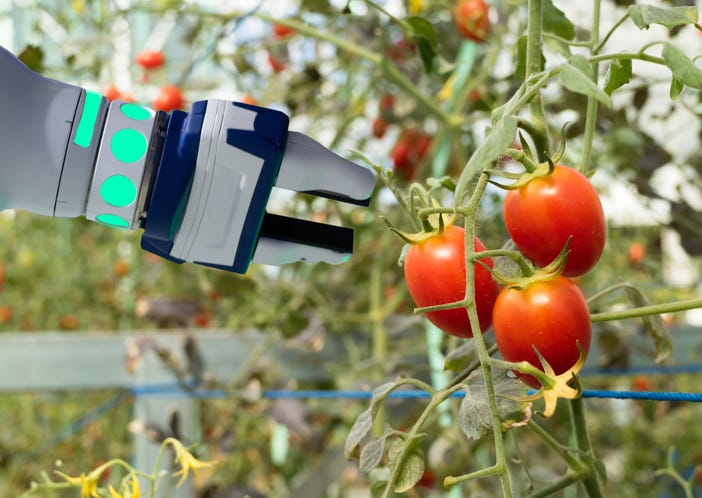 What Makes Effective ‘AgriTech’ for Africa? | by Ada O. | FoodScape ...