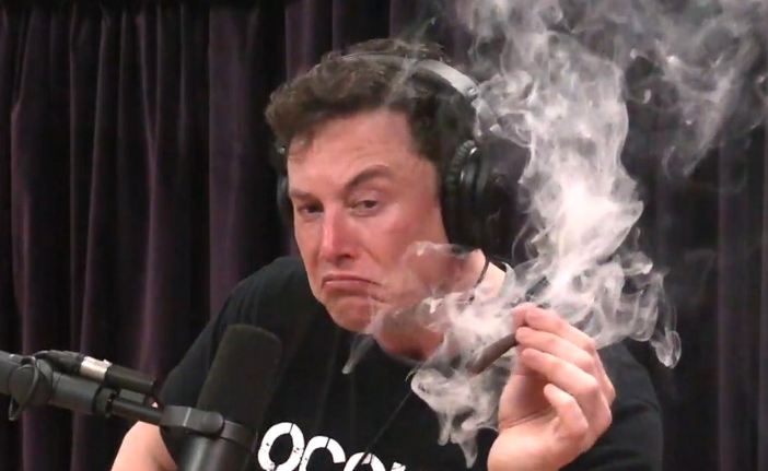 Elon Musk’s Self-Inflicted Wound. The rise and fall of Elon Musk, how ...