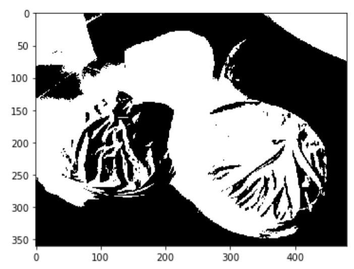 Thresholds and Color Spaces: Exploring Otsu’s Method and Color Segmentation | by John Solomon ...