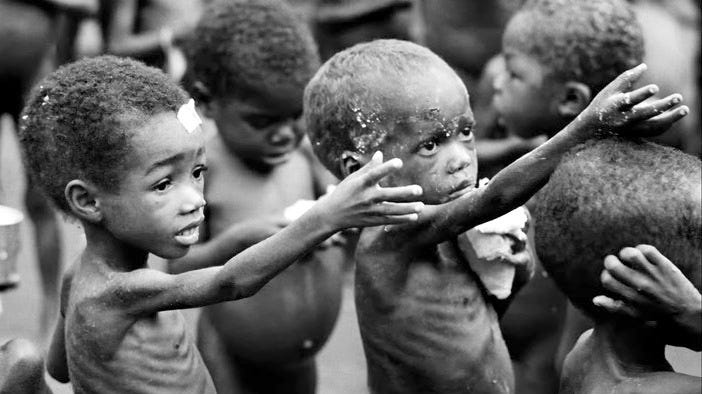 The potential impact of the local dried fish industry on child ...