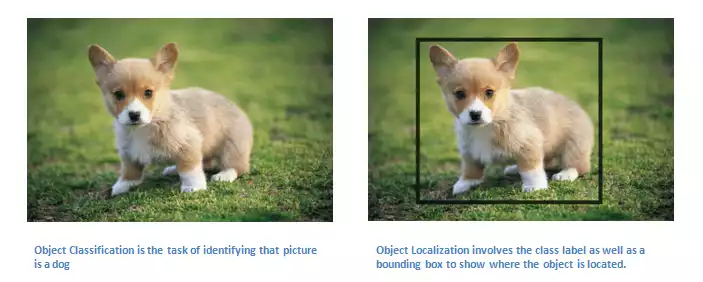 Algorithm for Image Recognition. It’s nice to realize that we humans ...
