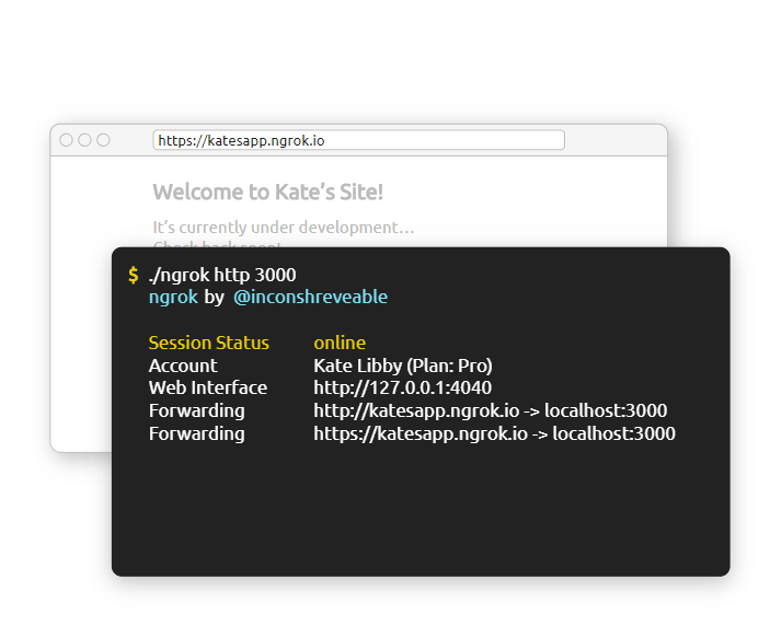 NGROK+NGINX ตัวช่วยที่ขาดไม่ได้สำหรับนักพัฒนา Chat Bot | by best0032001 | Medium